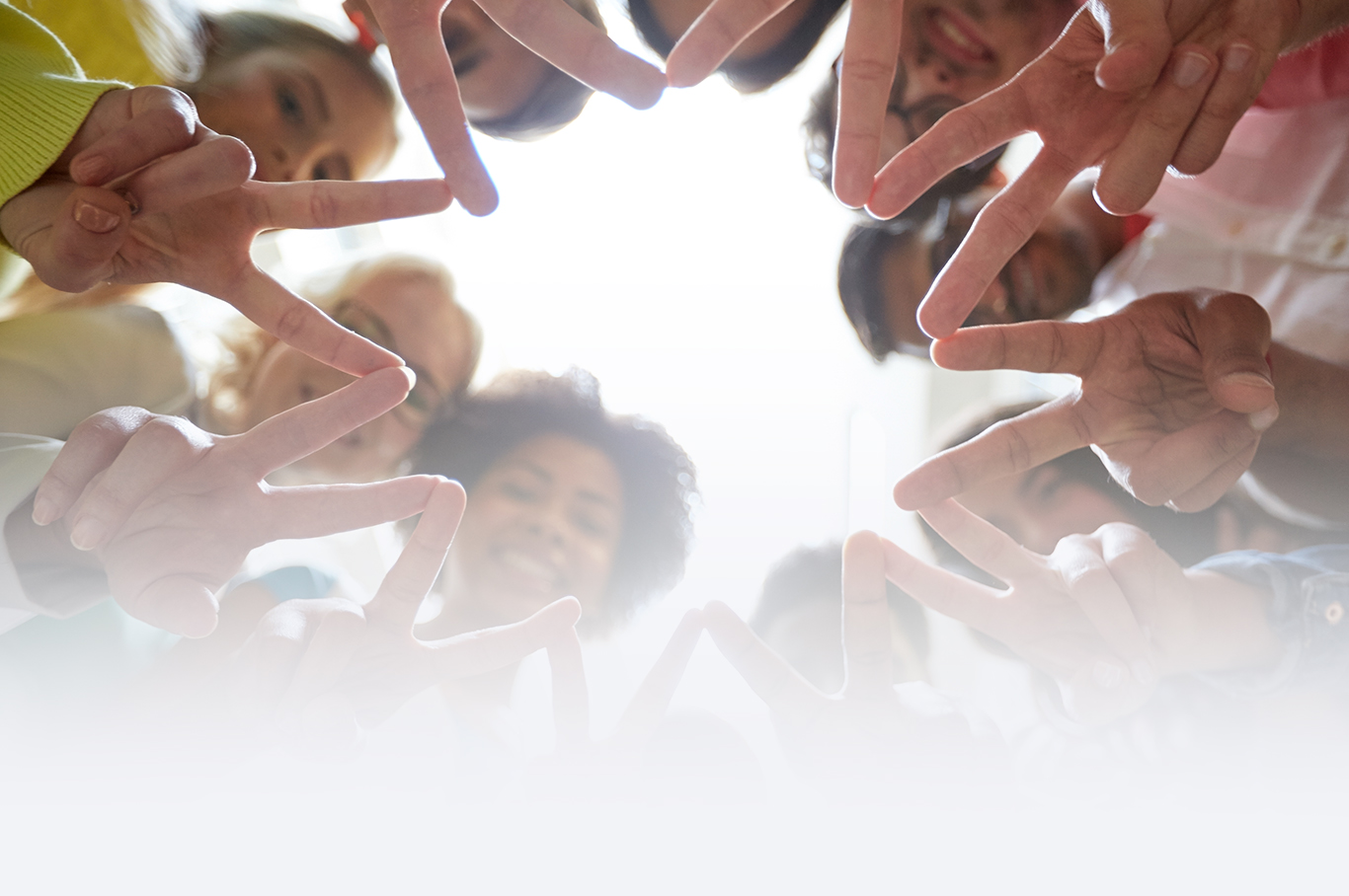 Meraki Tribe Collective | Welcome Portal